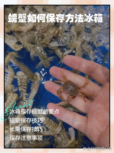螃蟹怎么冷藏储存_活螃蟹能放冰箱吗-第2张图片-山城妙识