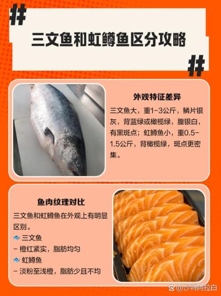 虹鳟鱼和三文鱼怎么区别_虹鳟鱼是三文鱼吗-第3张图片-山城妙识