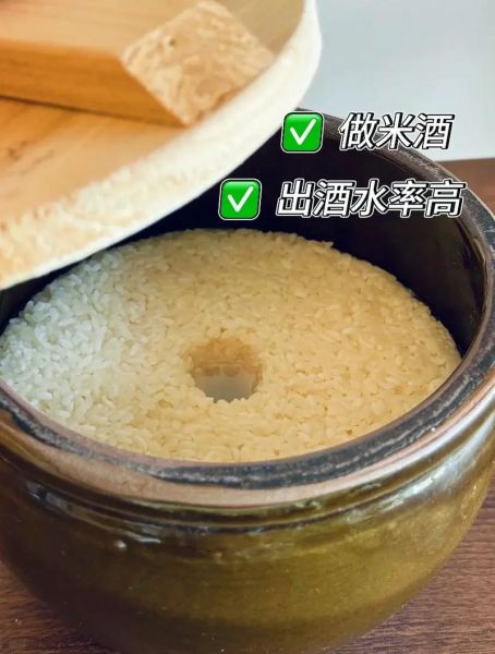 圆江米的营养价值_圆江米有哪些功效-第1张图片-山城妙识