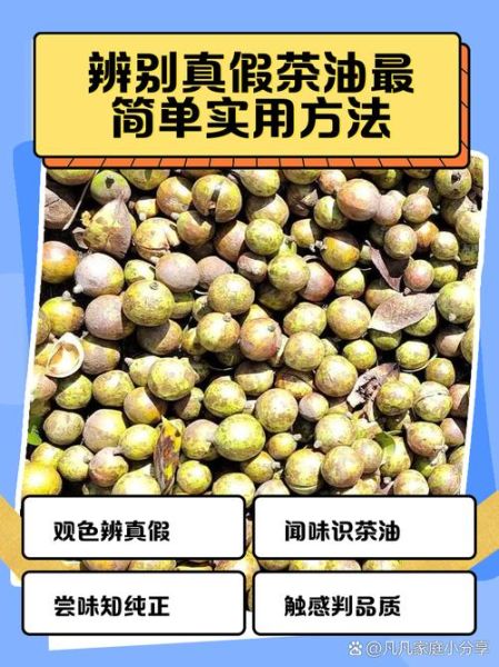 山茶油骗局有哪些套路_如何辨别真假山茶油-第1张图片-山城妙识