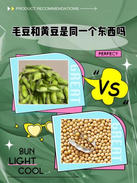 大豆和黄豆是一个东西吗_区别与营养价值对比-第1张图片-山城妙识