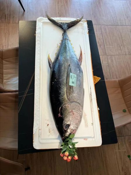 金枪鱼价格现在多少钱一斤_2024年最新行情-第3张图片-山城妙识