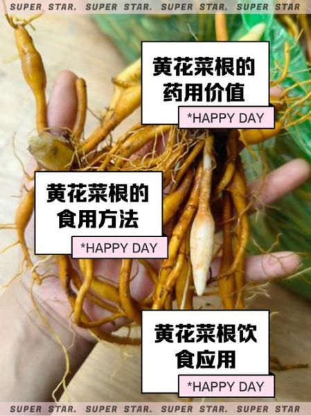 腌菜花根怎么腌制_菜花根腌制方法-第1张图片-山城妙识