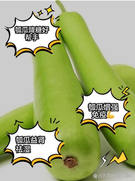 瓠瓜与什么食物相克_瓠瓜不能和什么一起吃-第2张图片-山城妙识 瓠瓜与什么食物相克_瓠瓜不能和什么一起吃-第2张图片-山城妙识