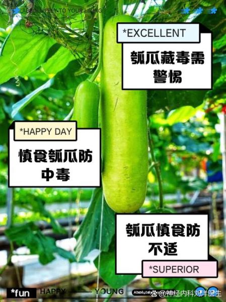 瓠瓜与什么食物相克_瓠瓜不能和什么一起吃-第3张图片-山城妙识 瓠瓜与什么食物相克_瓠瓜不能和什么一起吃-第3张图片-山城妙识