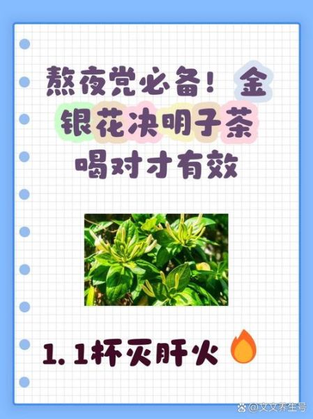 决明子配什么喝最好_决明子最佳搭配禁忌-第2张图片-山城妙识 决明子配什么喝最好_决明子最佳搭配禁忌-第2张图片-山城妙识