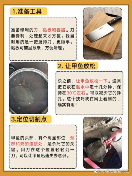 如何杀甲鱼_甲鱼宰杀步骤详解-第2张图片-山城妙识
