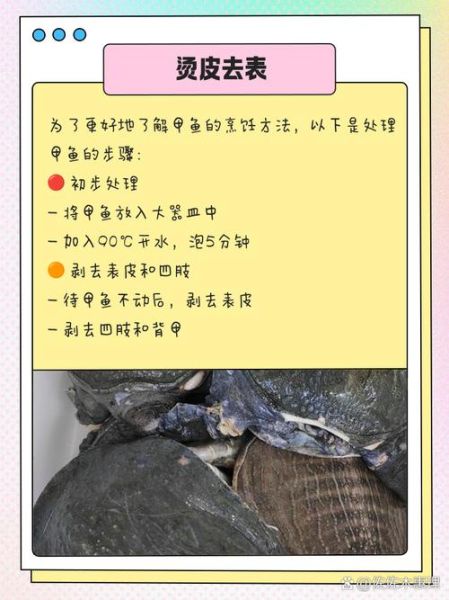 如何杀甲鱼_甲鱼宰杀步骤详解-第3张图片-山城妙识