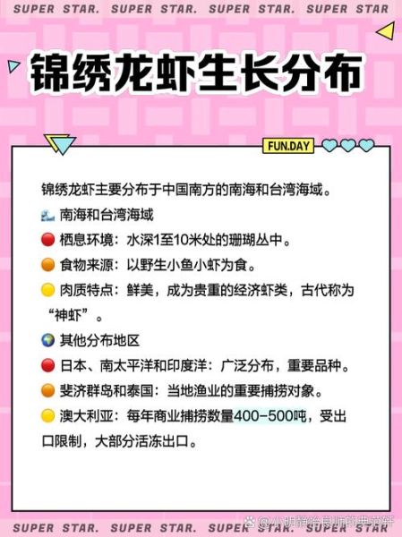 锦绣龙虾多少钱一斤_锦绣龙虾价格走势-第2张图片-山城妙识 锦绣龙虾多少钱一斤_锦绣龙虾价格走势-第2张图片-山城妙识