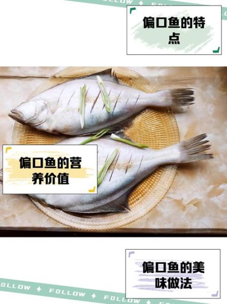 偏口鱼是比目鱼吗_偏口鱼与比目鱼的区别-第1张图片-山城妙识