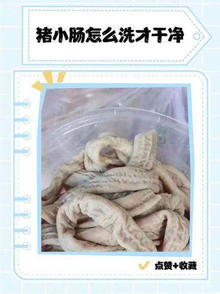 猪小肠怎么洗才干净_猪小肠清洗步骤-第1张图片-山城妙识