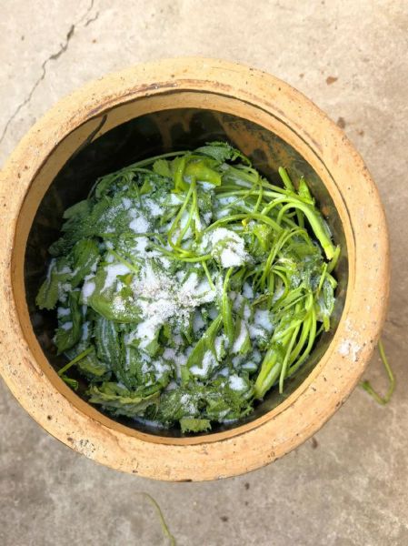 腌雪里蕻怎么腌_雪里蕻腌制方法-第2张图片-山城妙识