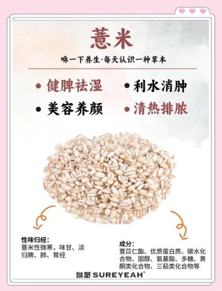 薏米能天天吃吗_薏米副作用有哪些-第1张图片-山城妙识