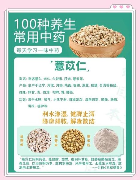 薏米能天天吃吗_薏米副作用有哪些-第2张图片-山城妙识