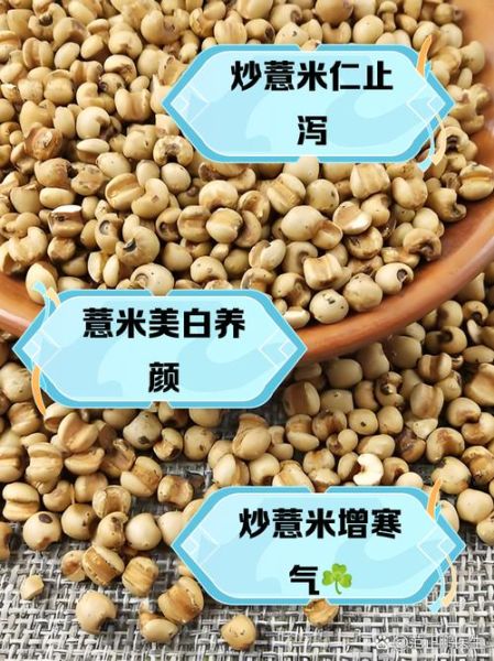 薏米能天天吃吗_薏米副作用有哪些-第3张图片-山城妙识
