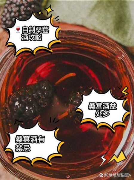 桑葚泡酒的功效与作用_桑葚泡酒有哪些禁忌-第2张图片-山城妙识 桑葚泡酒的功效与作用_桑葚泡酒有哪些禁忌-第2张图片-山城妙识