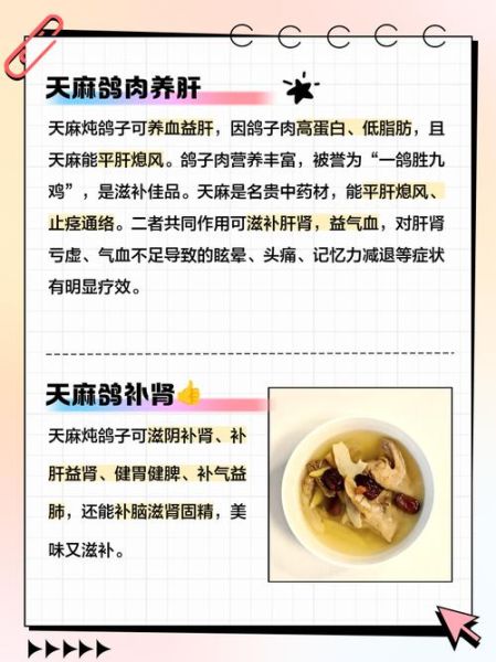 天麻炖鸽子小孩能吃吗_儿童用量与禁忌-第1张图片-山城妙识