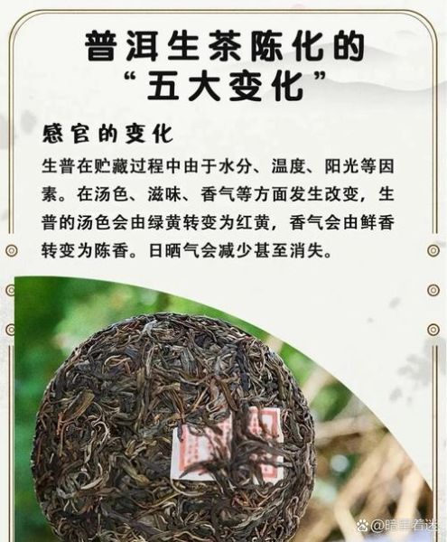 生普洱存放几年最好喝_生普最佳品饮期-第3张图片-山城妙识
