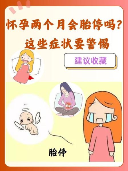 孕妈哪些行为会导致胎停_胎停育的真正原因-第3张图片-山城妙识