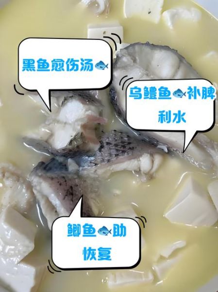 吃什么愈合伤口恢复最快_术后吃什么恢复快-第3张图片-山城妙识