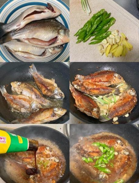 四川红烧鲫鱼怎么做_正宗川味红烧鲫鱼秘诀-第3张图片-山城妙识