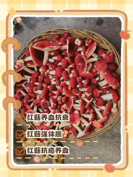 红菇的功效与作用有哪些_红菇怎么吃最好-第2张图片-山城妙识