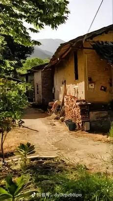 小白菜泪汪汪全集30_小白菜泪汪汪30集剧情解析-第1张图片-山城妙识