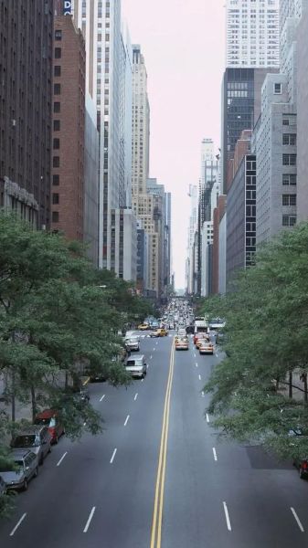 小白菜泪汪汪全集30_小白菜泪汪汪30集剧情解析-第3张图片-山城妙识