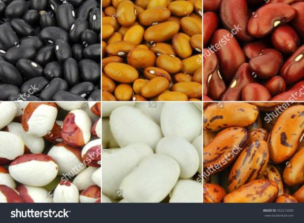 what_are_cocoa_beans_used_for_how_to_store_cocoa_beans-第1张图片-山城妙识