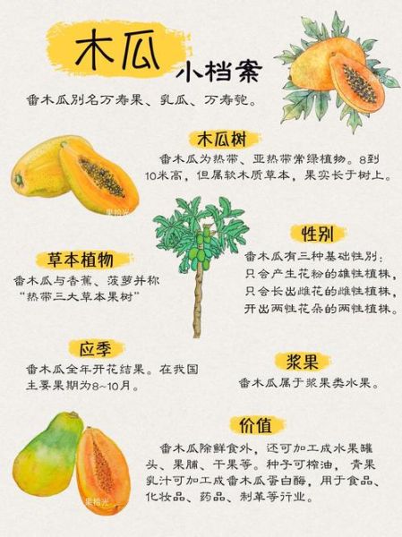 生木瓜能吃吗_生木瓜怎么吃才安全-第3张图片-山城妙识 生木瓜能吃吗_生木瓜怎么吃才安全-第3张图片-山城妙识