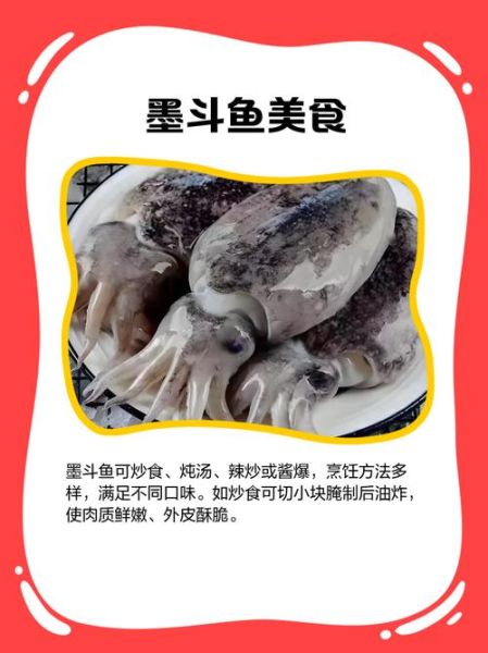 墨斗鱼怎么养_墨斗鱼吃什么长得快-第3张图片-山城妙识 墨斗鱼怎么养_墨斗鱼吃什么长得快-第3张图片-山城妙识