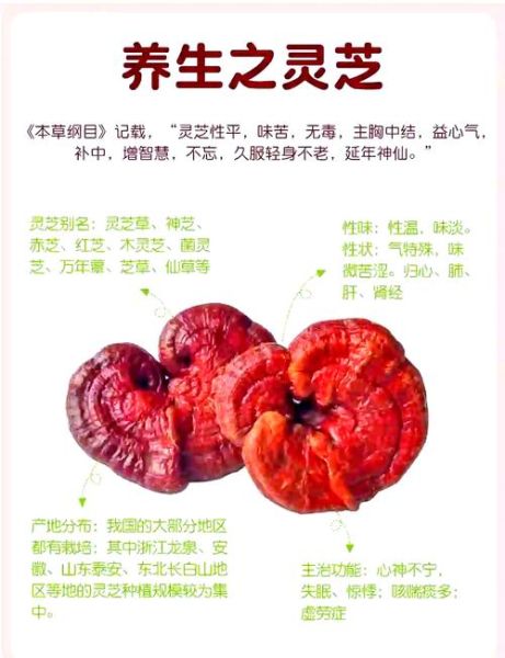 灵芝泡水喝的禁忌_肿瘤医生为什么不推荐-第1张图片-山城妙识