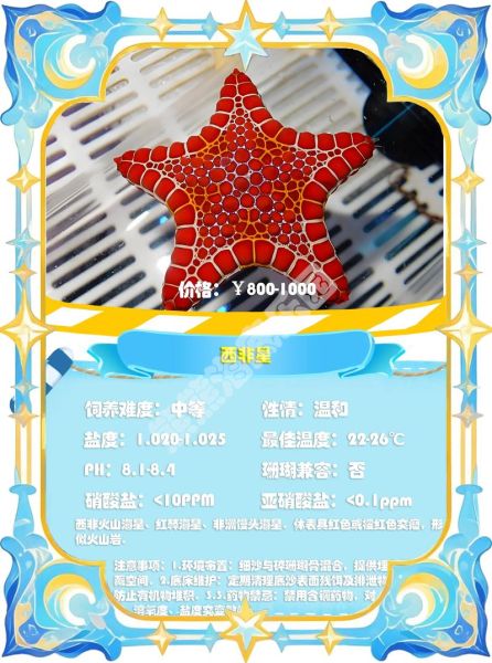 哪种海星有毒_海星毒性排行榜-第1张图片-山城妙识