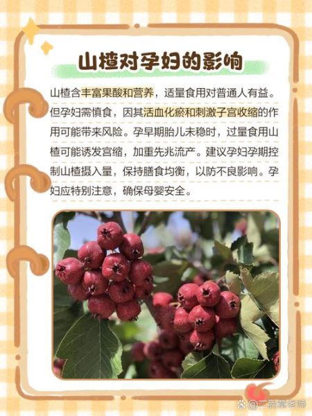 山楂吃了5天流产了_孕妇吃山楂会流产吗-第1张图片-山城妙识 山楂吃了5天流产了_孕妇吃山楂会流产吗-第1张图片-山城妙识