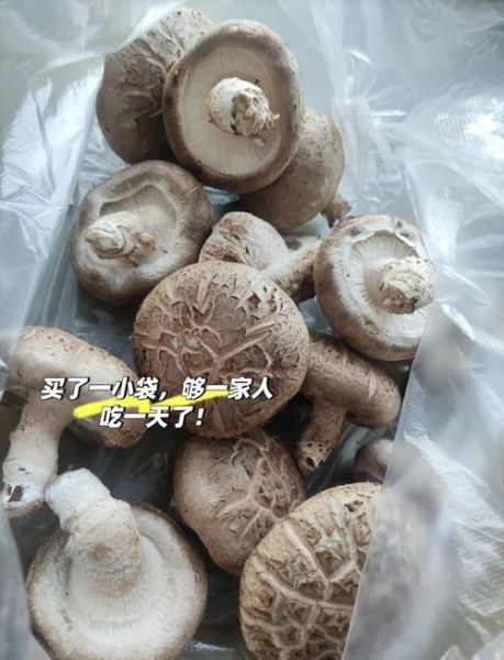 花菇好吃还是香菇好吃_哪个更香更鲜-第3张图片-山城妙识 花菇好吃还是香菇好吃_哪个更香更鲜-第3张图片-山城妙识