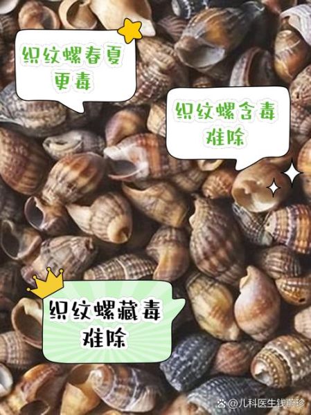 织纹螺有毒为什么还有人买_中毒风险与市场需求-第1张图片-山城妙识