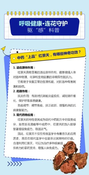 红景天的功效与作用是什么_红景天适合什么人吃-第3张图片-山城妙识