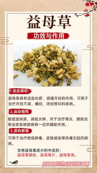 吃新鲜益母草的好处_益母草怎么吃效果最好-第2张图片-山城妙识