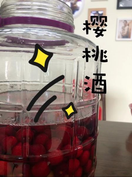 家庭樱桃酒怎么做_樱桃酒发酵多久能喝-第3张图片-山城妙识 家庭樱桃酒怎么做_樱桃酒发酵多久能喝-第3张图片-山城妙识