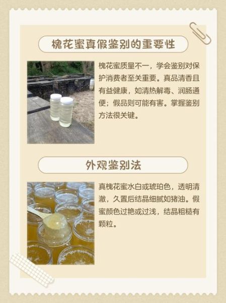 槐花蜂蜜怎么辨别真假_槐花蜂蜜真假鉴别方法-第1张图片-山城妙识 槐花蜂蜜怎么辨别真假_槐花蜂蜜真假鉴别方法-第1张图片-山城妙识