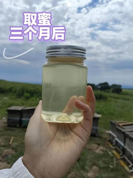 槐花蜂蜜怎么辨别真假_槐花蜂蜜真假鉴别方法-第3张图片-山城妙识 槐花蜂蜜怎么辨别真假_槐花蜂蜜真假鉴别方法-第3张图片-山城妙识