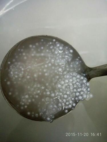 西米没煮透明能吃吗_吃了会怎样-第1张图片-山城妙识 西米没煮透明能吃吗_吃了会怎样-第1张图片-山城妙识