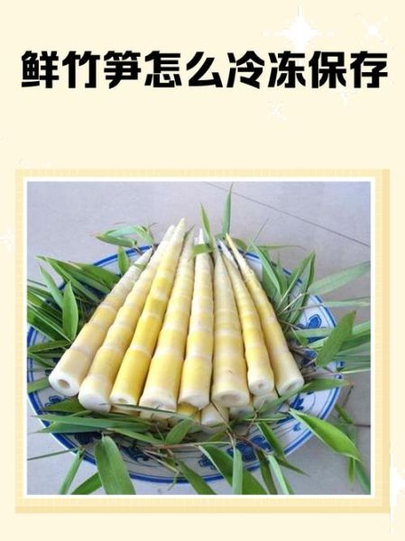 竹笋怎么保存_新鲜竹笋能放几天-第1张图片-山城妙识