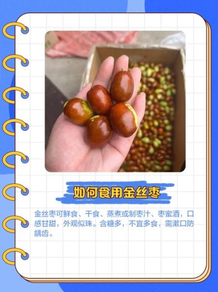 金丝枣的功效与作用禁忌_哪些人不能吃-第1张图片-山城妙识
