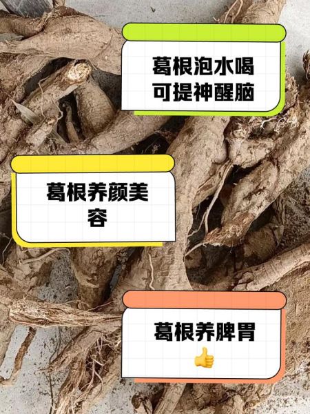 葛根粉泡水喝的功效与作用_葛根粉怎么喝才有效-第3张图片-山城妙识