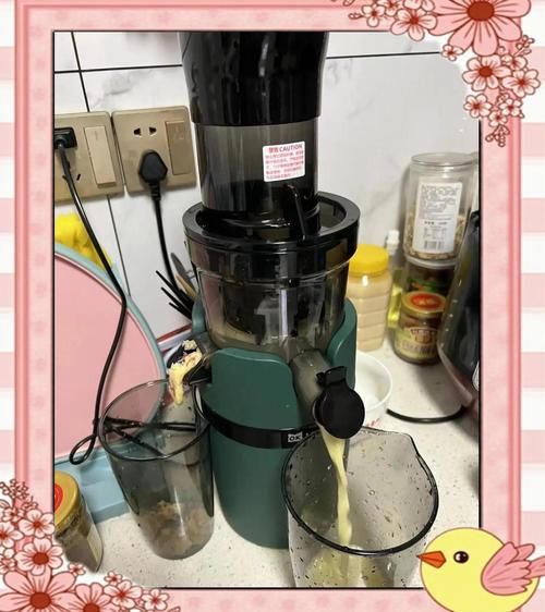 便携式榨汁机哪款好_怎么选不踩坑-第3张图片-山城妙识