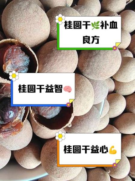 桂圆干的功效与作用_桂圆干一天吃多少合适-第2张图片-山城妙识