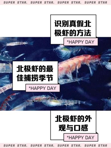 北极虾的危害有哪些_北极虾吃多了会怎么样-第1张图片-山城妙识 北极虾的危害有哪些_北极虾吃多了会怎么样-第1张图片-山城妙识