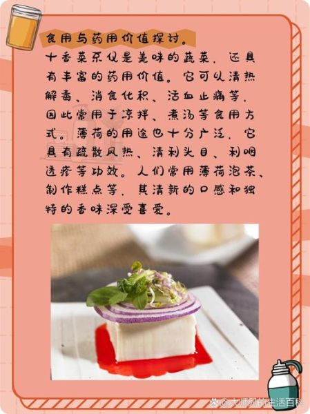 十香菜是薄荷吗_十香菜和薄荷的区别-第1张图片-山城妙识