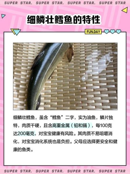 细鳞鱼多少钱一斤_细鳞鱼怎么做好吃-第1张图片-山城妙识